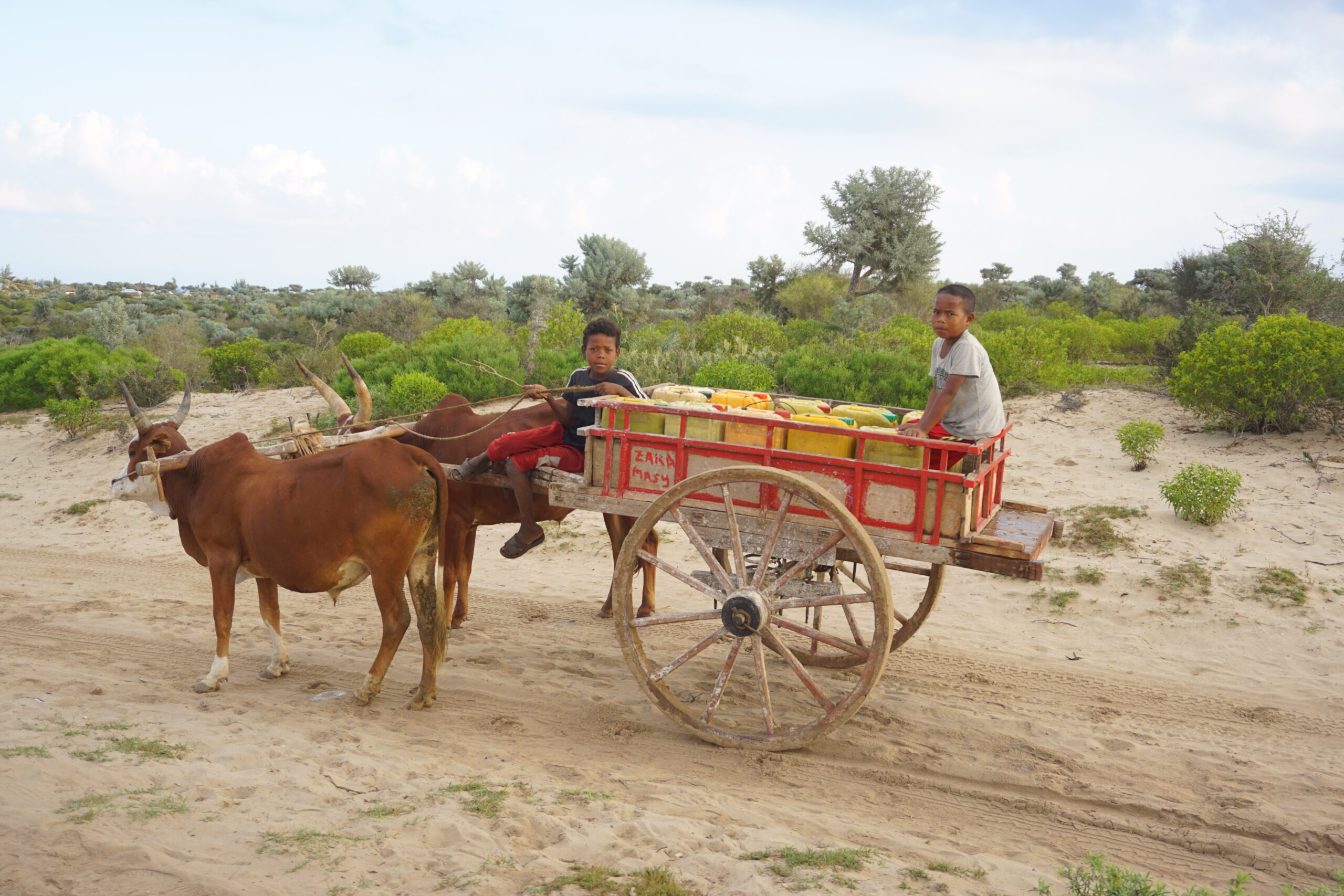 MORE CLEAN WATER FOR MADAGASCAR – Elemental Water Foundation